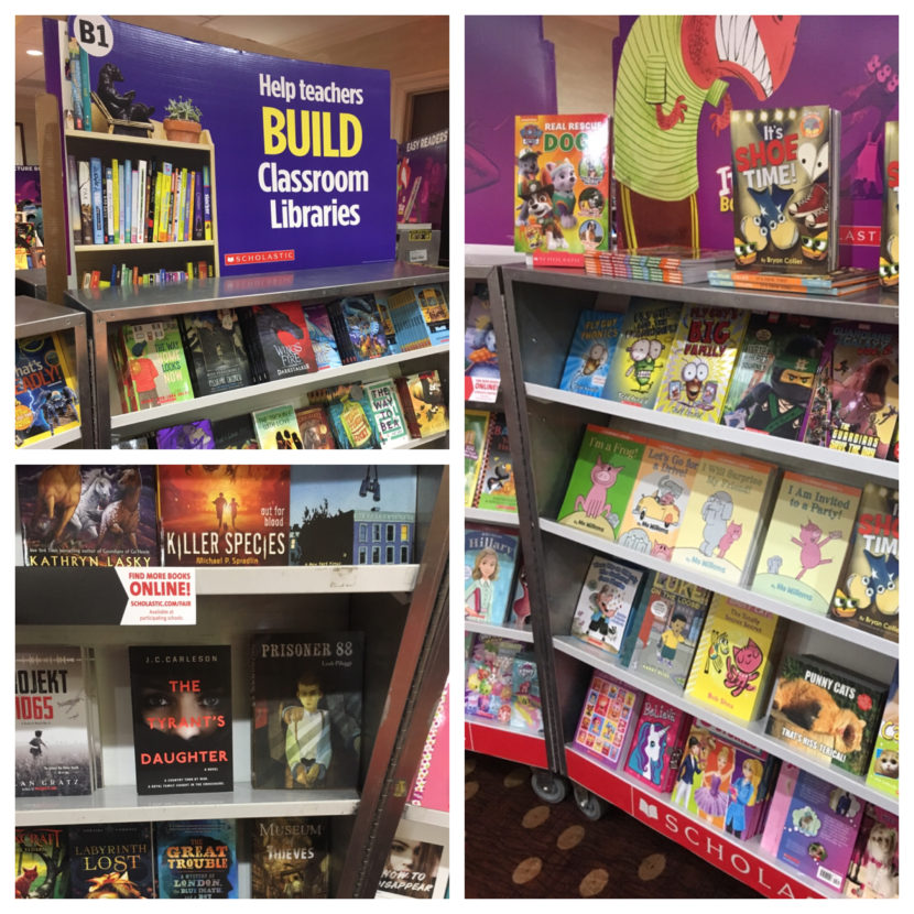 How to Build an Engaging Classroom Library – My Adventures in ESL