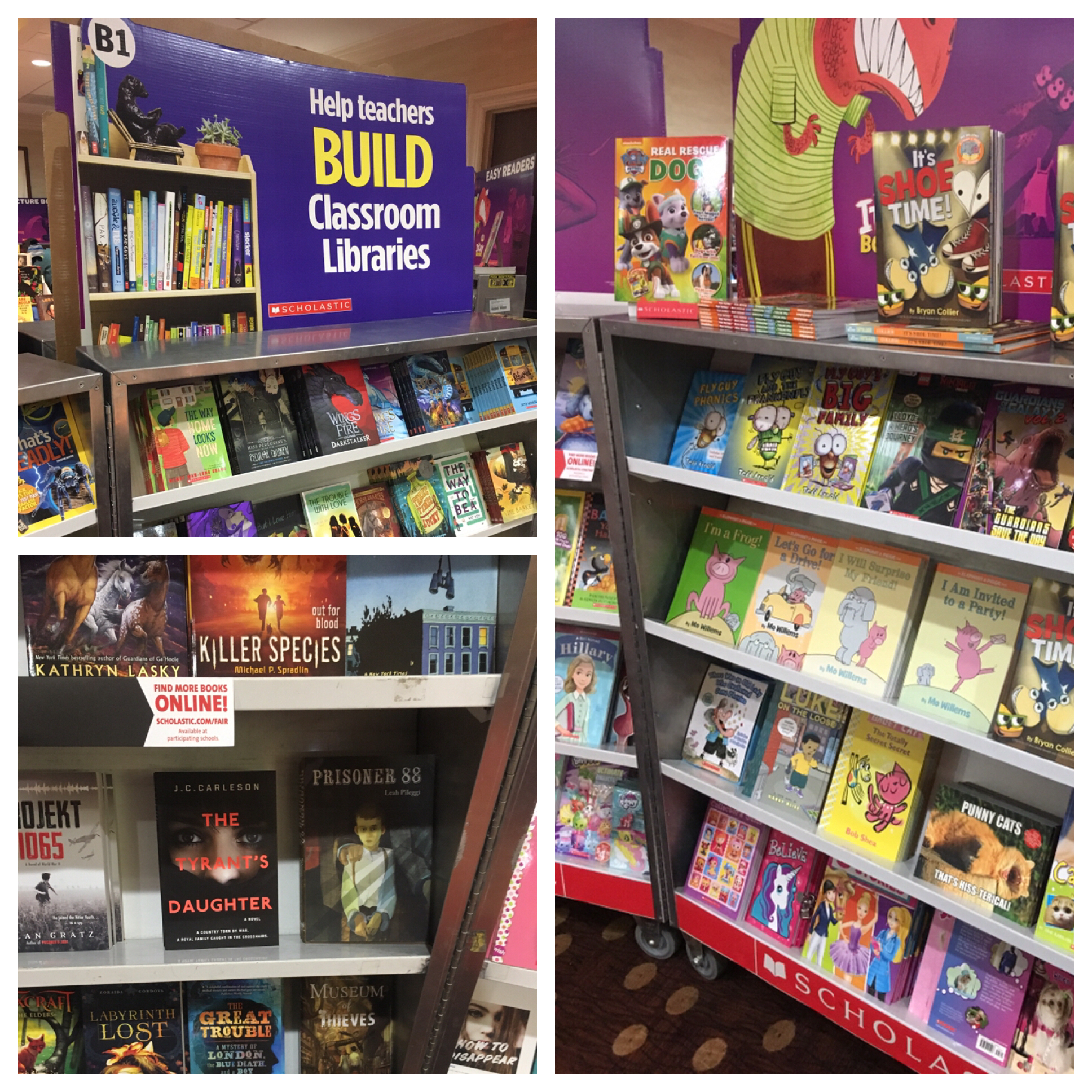 How to Build an Engaging Classroom Library – My Adventures in ESL